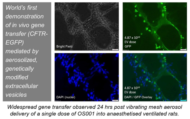 OmniSomes Regenerative Gene Therapies - Omnispirant